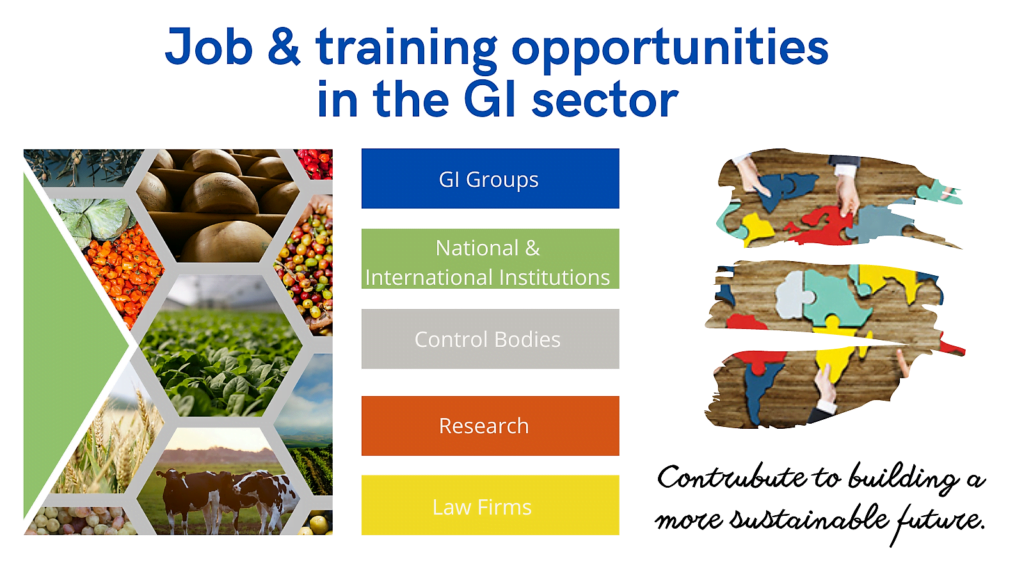 25/11/2022-Job & training opportunities in the GI sector - oriGIn ...