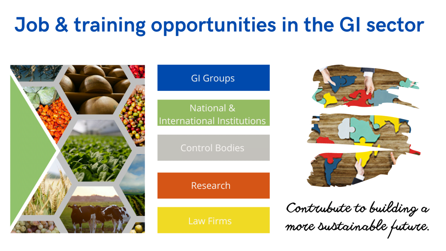 19/02/2026-Job and Training Opportunities in the GI sector - oriGIn ...